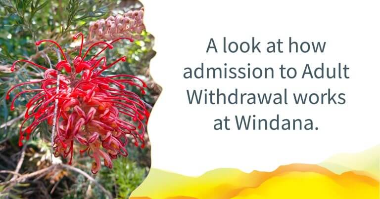 News Archives - Windana